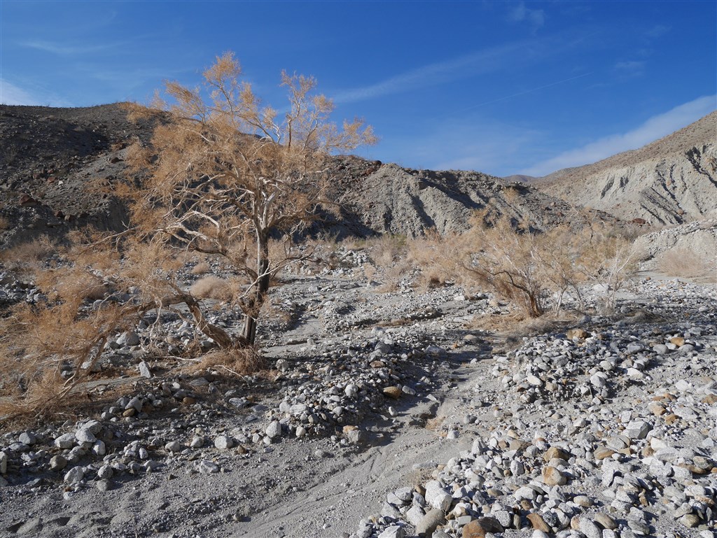 ABDSP1501-0352 | Hiking Angeles Forest